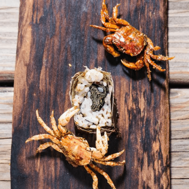 Joe Roman | Biologist and Author